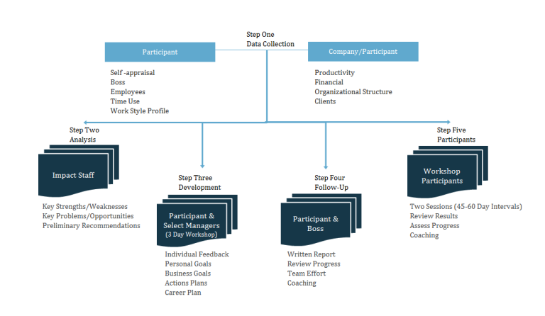 IMPACT Management Program Flow Chart – IMPACT Management Systems, LLC